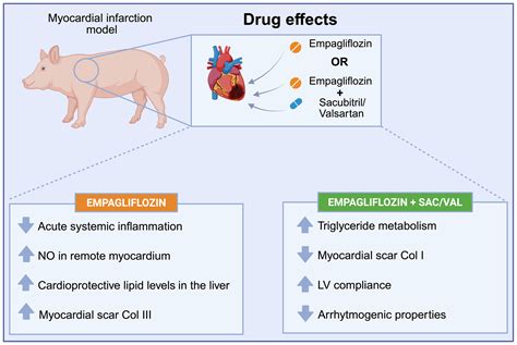 Initiating Empagliflozin And Sacubitrilvalsartan Early After Acute