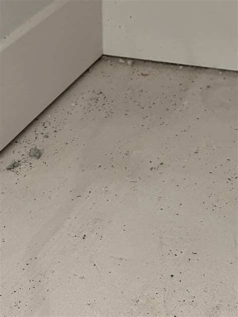 Are These Oriental Roach Droppings Location Is Under My Stairs Near