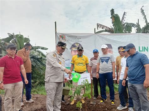 Pj Bupati Sarolangun Tanam Pohon Di Kelurahan Aur Gading