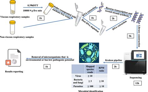 Complete Mngs Assay Workflow A Complete Workflow For Simultaneous Dna