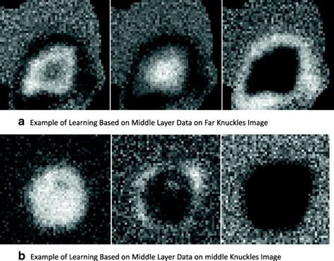 Example Of Hidden Label Gaussian Process Learning On Middle Layer Image