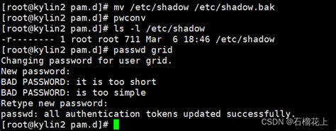 Passwd Authentication Token Manipulation Error Csdn博客