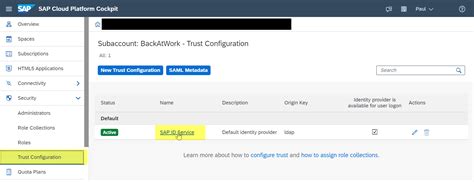 Connect Hana Cloud Service Instance With Sap Busin Sap Community