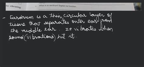 The Vibratingc What Is An Eardrum Explain Its Function Filo