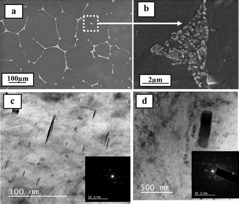 Sem Morphology Of A As Cast Alloy B Secondary Phases At The Grain Download Scientific Diagram