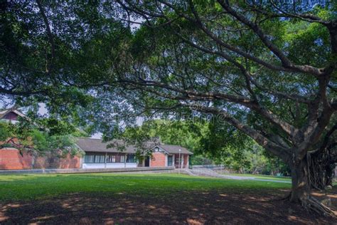 Tunghai University Stock Image Image Of Green River 272857909