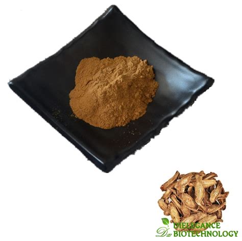 Source Arctium Extract Bulk Wholesale Arctium Lappa Root Extract