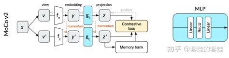 Moco V1 V2 Simclr Byol Swav Siasiam超简述 知乎