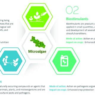 PDF Microalgae As Biofertilizers A Sustainable Way To Improve Soil Fertility And Plant Growth