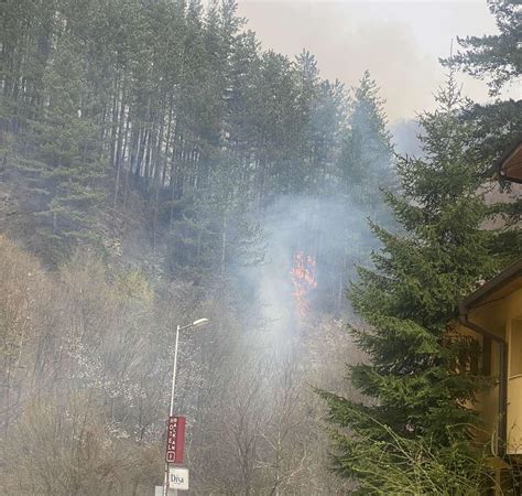 СИГНАЛ ДО ПИК Голям пожар край Троян запали се борова гора вятърът разнася пламъците СНИМКИ