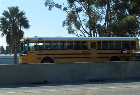 California School Buses Flickr