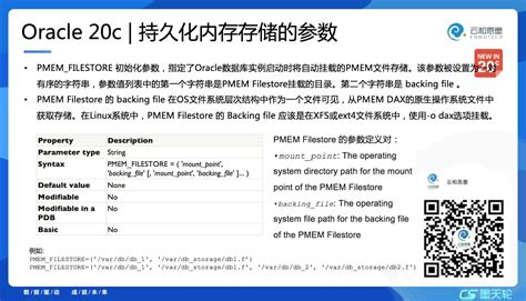 Oracle 20c 新特性 Persistent Memory Database 持久化内存数据库 Oracle Life