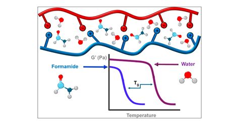 Formamide As A Robust Alternative To Water For Plasticizing