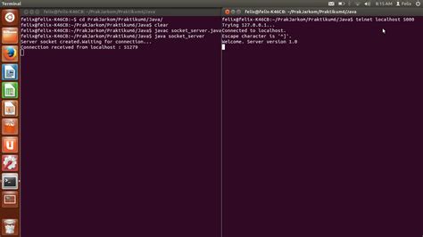 Felix Tanamas Socket Programming In Java On Linux
