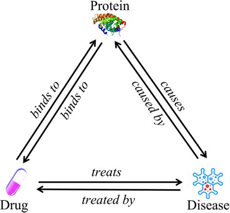 Schema Of Drug Protein Disease Heterogeneous Network Download Scientific Diagram