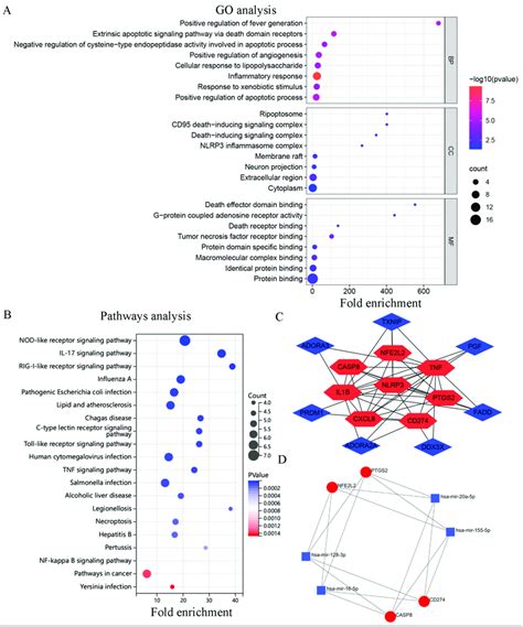 Enrichment Analysis Ppi Network And Mirna Mrna Network Of Degs A