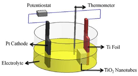 1 Electrochemical Etching Anodization Setup For The Tio 2 Nanotube