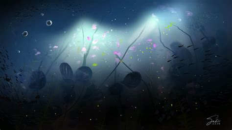 Underwater Exploration By Cierinblue On Deviantart