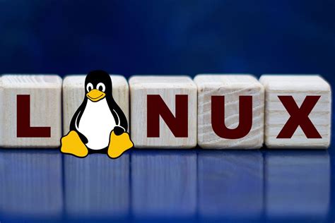 Cómo Acceder A Tus Particiones De Linux Desde Windows Cultura Informática