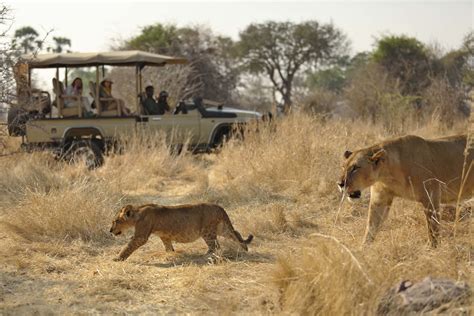 Ranger Safaris Michaela Soule Marketing
