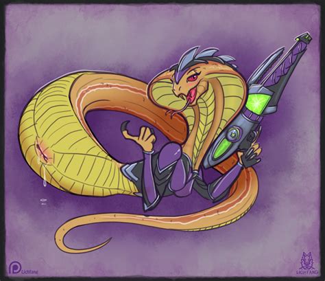 Welcome To SEXCOM Commander
