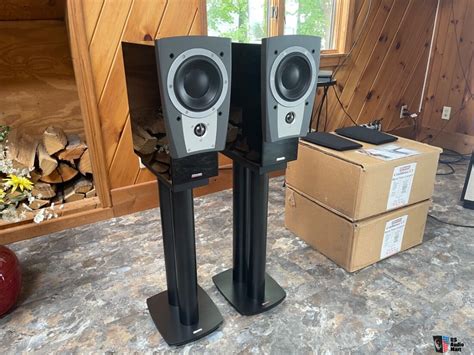 Dynaudio C1s For Sale Us Audio Mart
