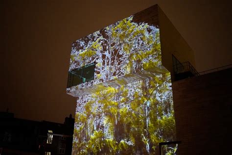 Cypress Trees Fragmentation — Anna Ridler