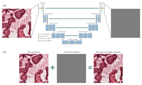 Structure Of The Deep Learning Model Including Sample Input And Output