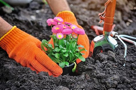 Top Landscaping Trends For Landscape Experts