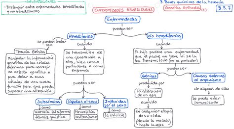 Genetica Mendeliana Mapa Mental Arbol