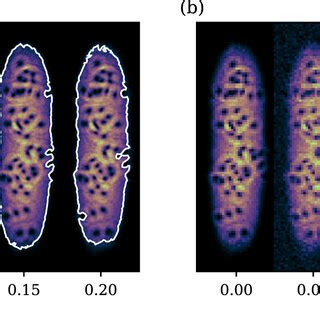 Tuning Parameters For The Training Set Of Synthetic Images A Download Scientific Diagram