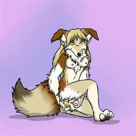 Rule 34 Aggrobadger Anal Anal Insertion Anthro Bone Breasts Canine