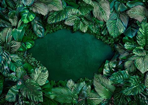 A Green Leafy Place With Background For Text Green Background Green
