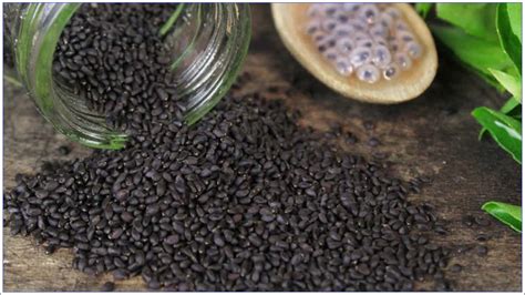 Basil Seed Benefits Telugu News Benefits Of