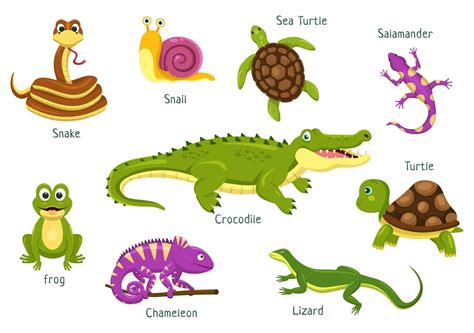 Conjunto De Plantilla De Reptil Animal Ilustración Plana De Dibujos