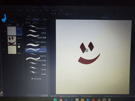Can Someone Help Me Fix This Issue CLIP STUDIO ASK