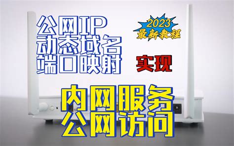 【2023最新教程】公网ip 动态域名 端口映射实现内网服务在公网上访问 被关起来的2b Tp外网访问 哔哩哔哩视频