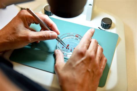 Scientist Testing Seed Viability Classroom Clip Art