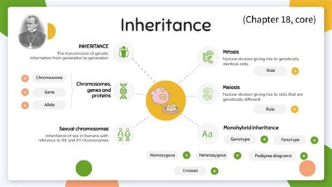 Inheritance Igcse