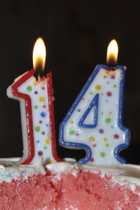 14 Candles On Birthday Cake Birthday Cake With 14 Candles Flickr