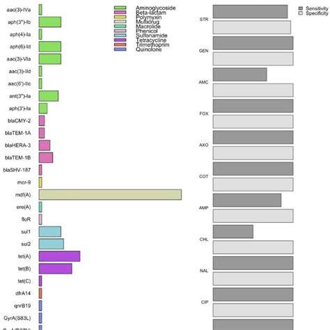 Co Occurrence Networks Of Antimicrobial Resistance Genes In E Coli Download Scientific Diagram