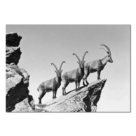 Artdarts Premium Alpine Wall Art Switzerland