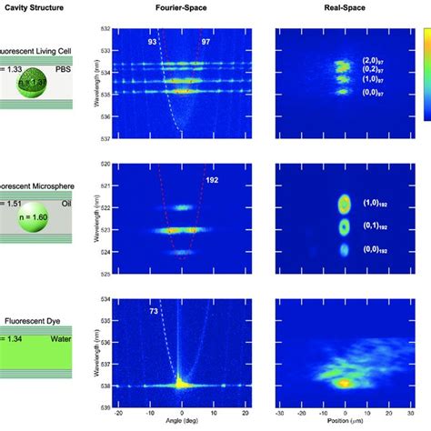Fourier Space And Real Space Characterization Of Lasing From The Cell