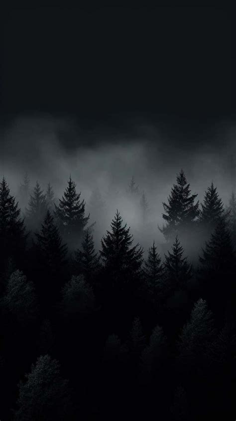 Dark Forest Hd Wallpapers