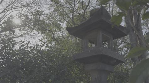 Japanese Sit On Uncle Lap Videos Download The Best Free 4k Stock Video Footage And Japanese Sit