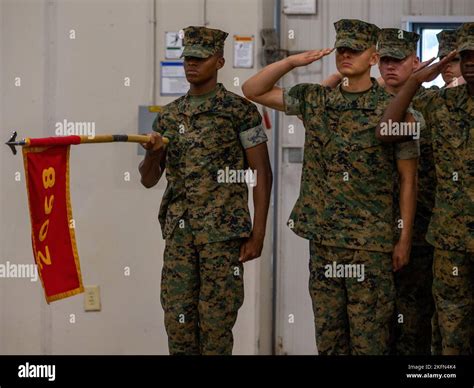 U S Marine Corps Pfc Cameron D Calhoun A Native Of Shreveport