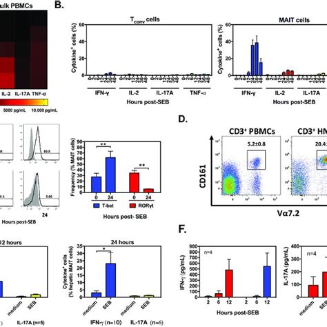 Staphylococcal Enterotoxin B Seb Stimulates Human Peripheral Blood