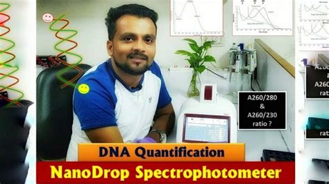 Spectrophotometer In Dna Quantification At Peggy Rios Blog
