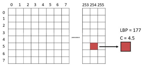 Bidimensional Array Of Lbpc Download Scientific Diagram