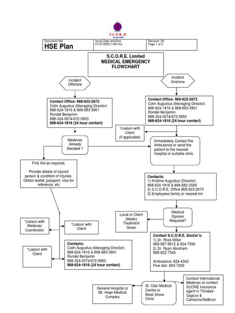 Medical Emergency Flowchart Pdf Social Programs Public Services